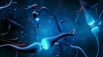 Strengthening Neural Pathways through Acts of Service – Counselor Magazine